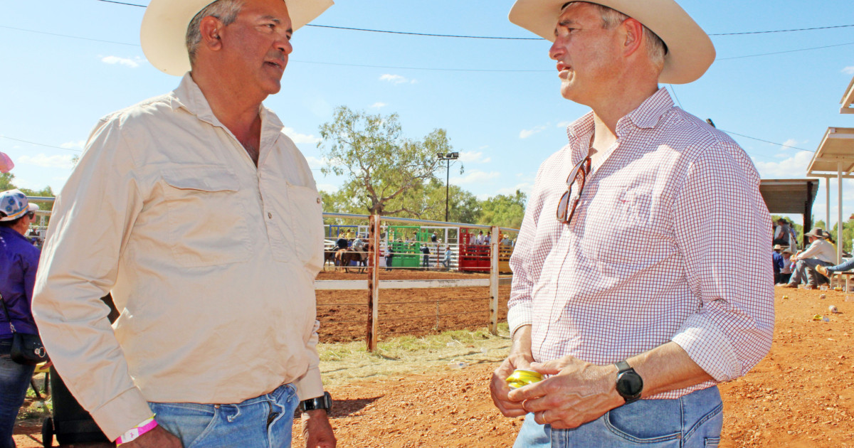 Volunteers the backbone of Dajarra rodeo and campdraft | North West ...